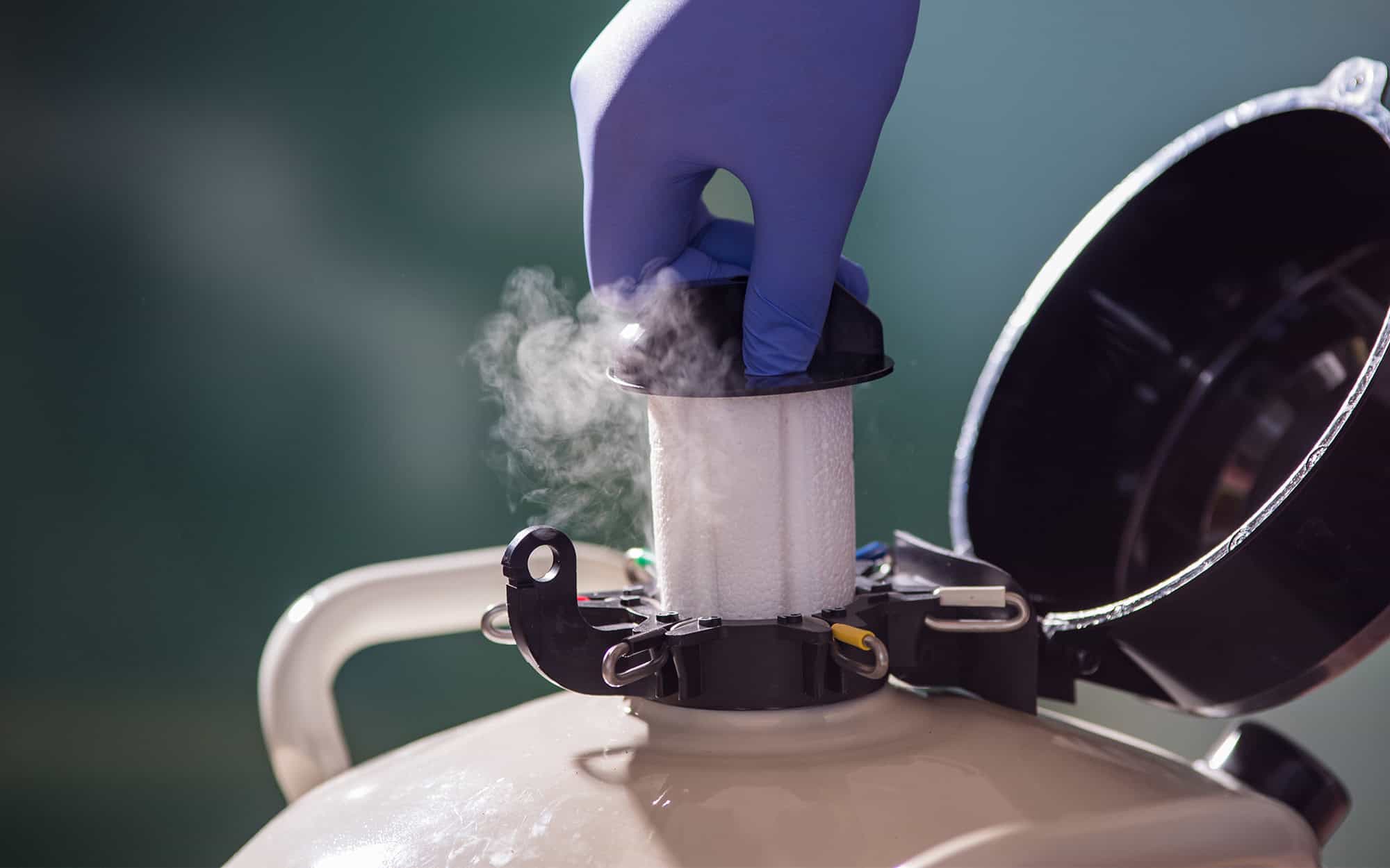 Nitrogen Purging’s Benefits For Industrial Processes